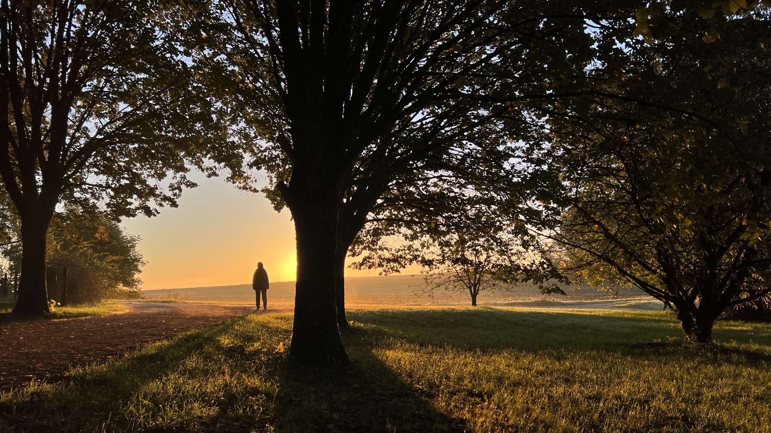 Qi Gong et Cancer : GRACE, une Association pour un Mieux-Être - GRACE